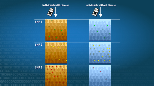 Genome-Wide Association Studies Fact Sheet Genome-Wide Association Studies Fact Sheet