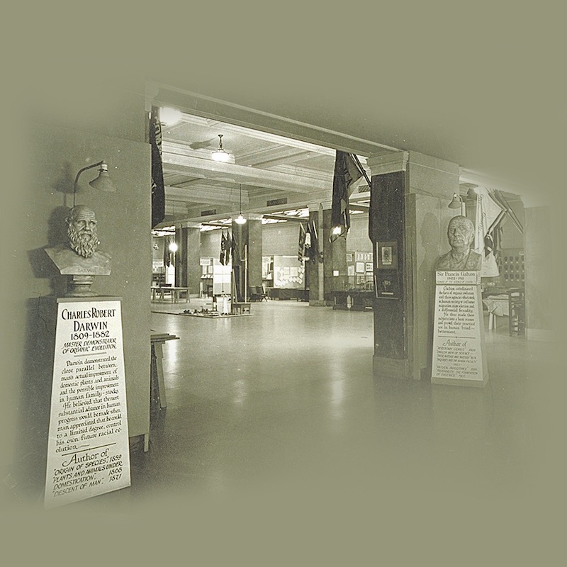 Eugenics: Its Origin and Development (1883 - Present)