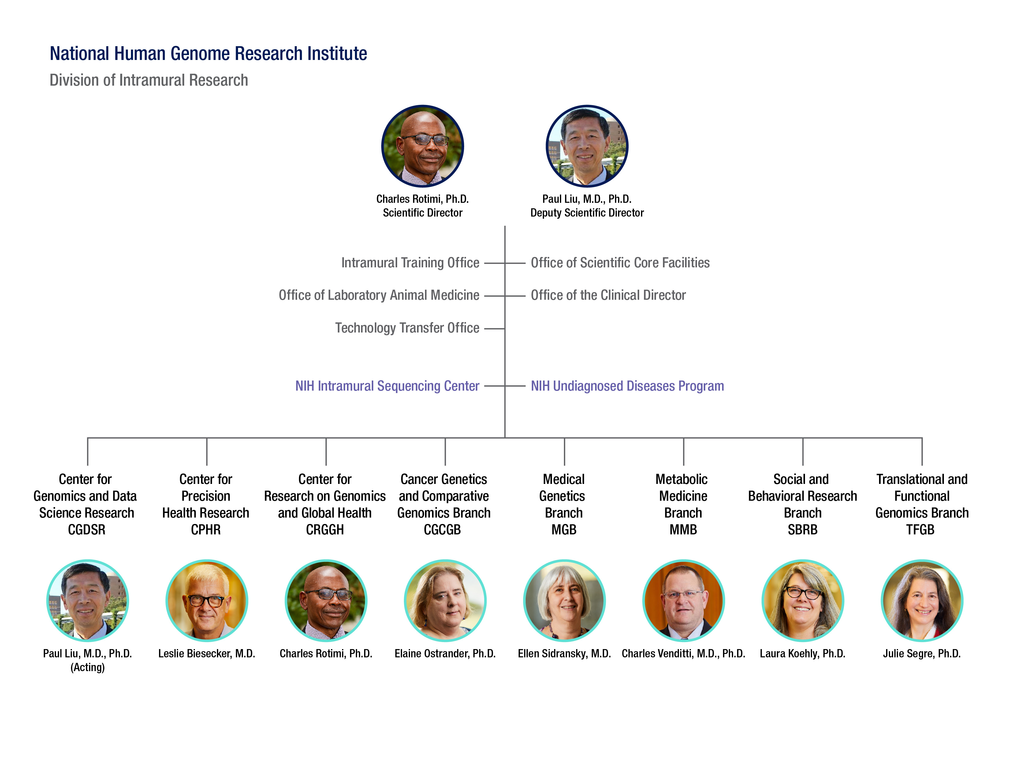 Division of Intramural Research