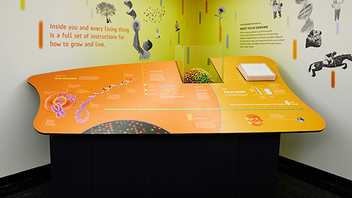 NIH Display of Genome: Unlocking Life’s Code Exhibition Pieces