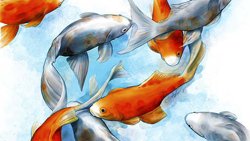 To build a goldfish, start with a blueprint