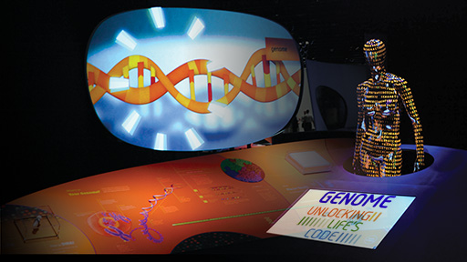 Genome: Unlocking Life’s Code exhibition reopens at the National Museum ...