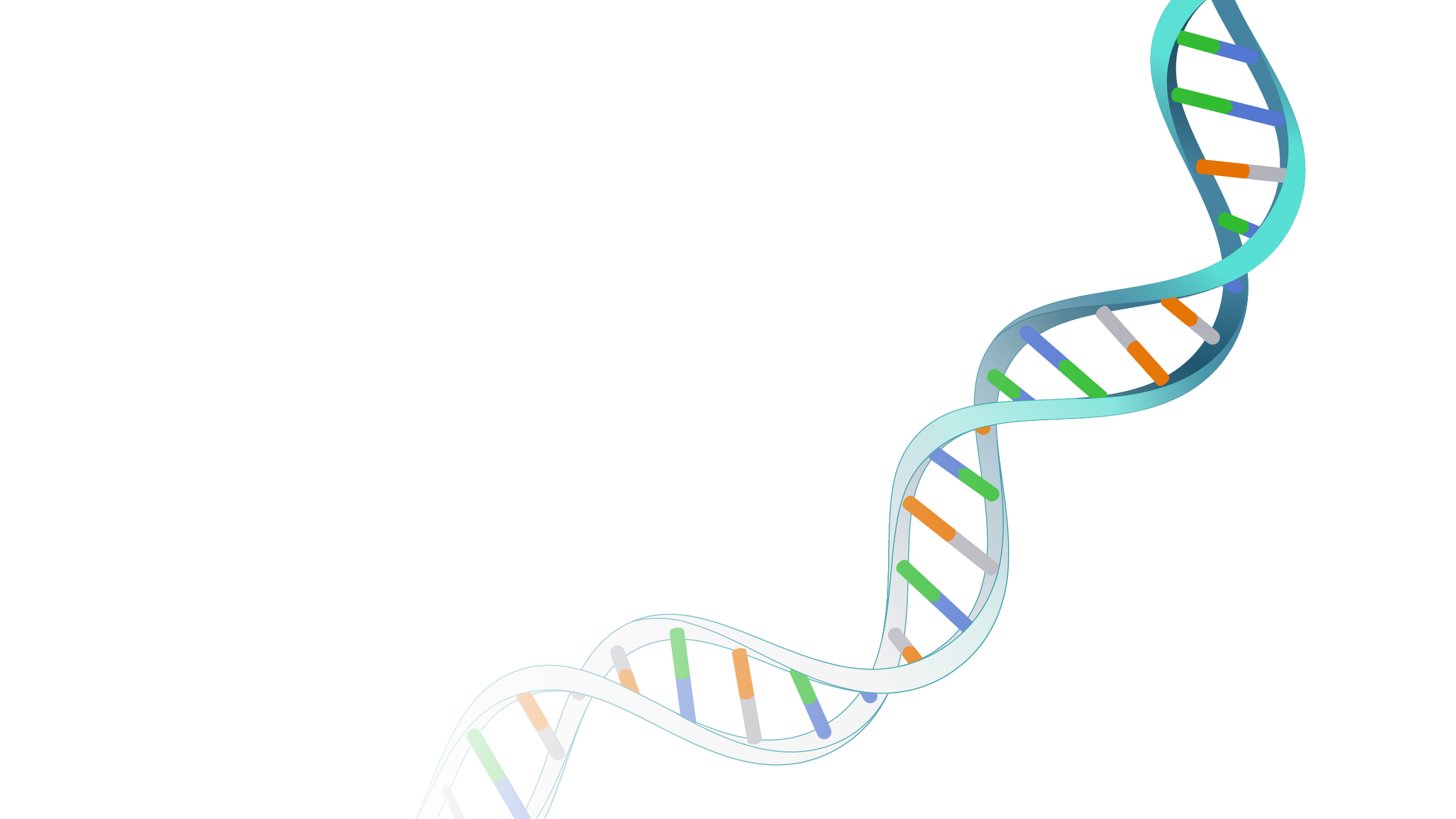 Non Coding DNA