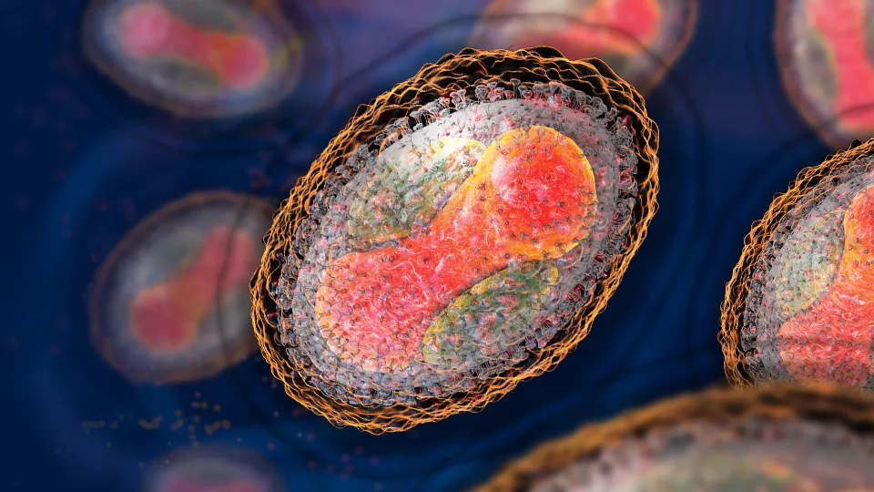 A protein’s unique flexibility may help it respond when viruses attack
