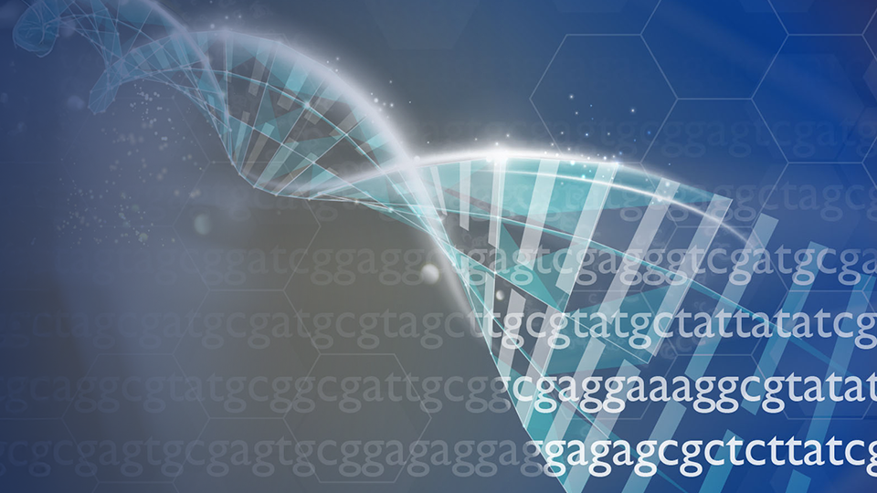 Genetics Reimagined: Preparing Students to Explore the Forefront of ...