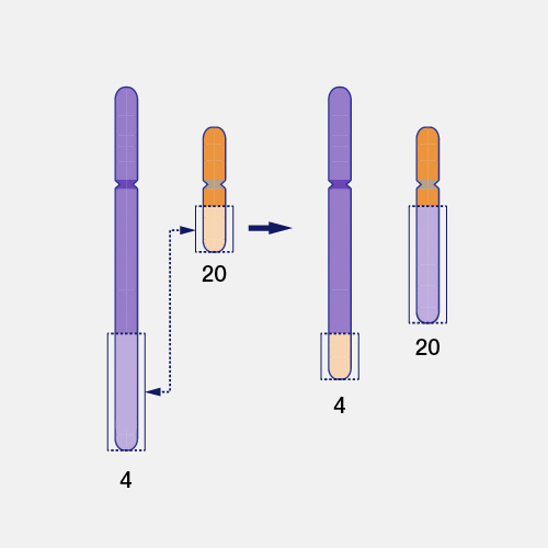 Structural Variation