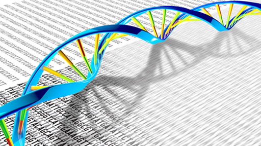 New study challenges gold standard for validating DNA sequencing results