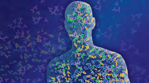 The human microbiome comes into focus